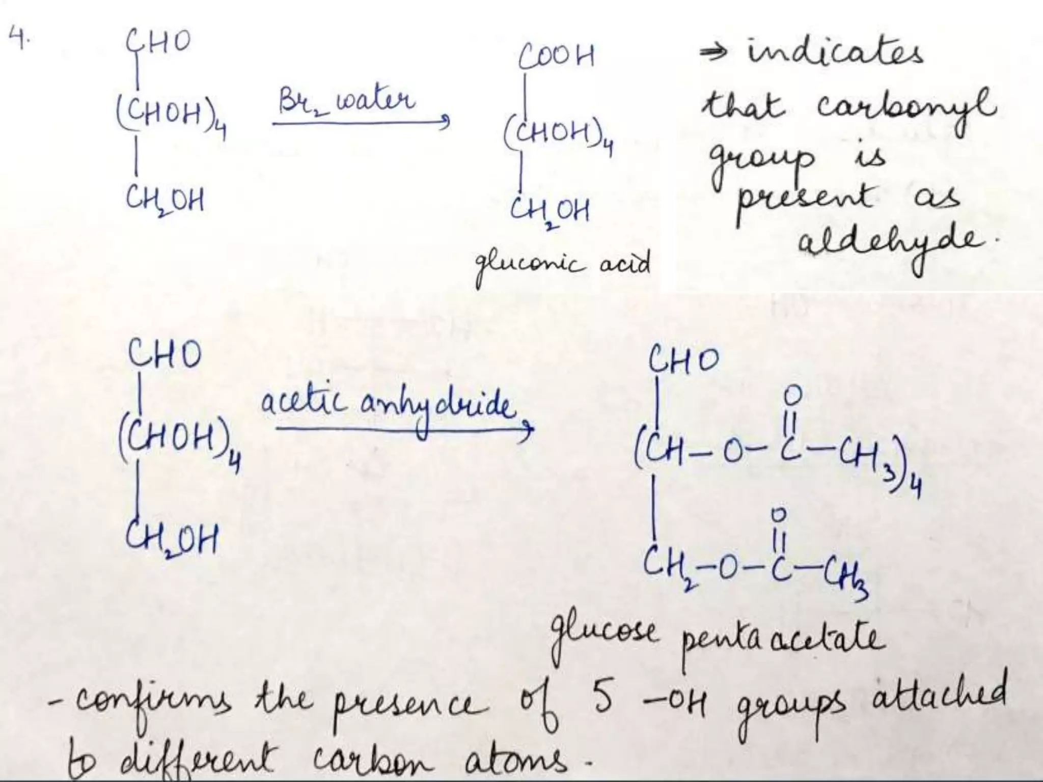 BIOMOLECULES complete.pptx