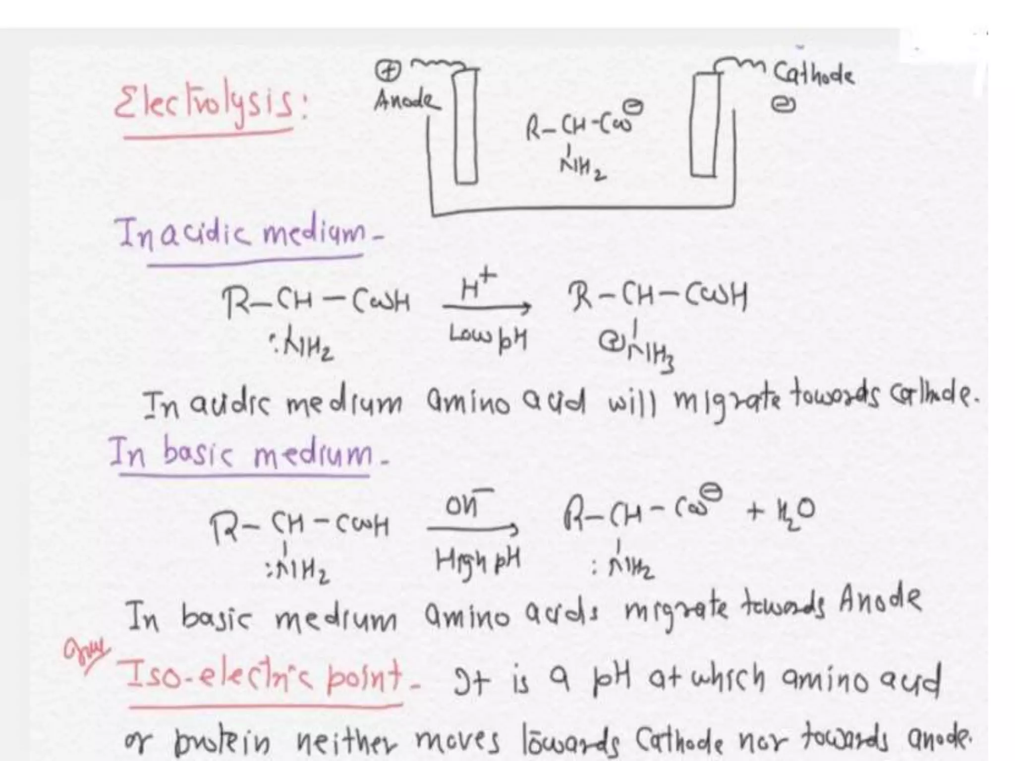 BIOMOLECULES complete.pptx