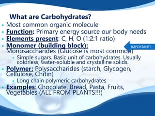 BIOMOLECULESedited.pptx
