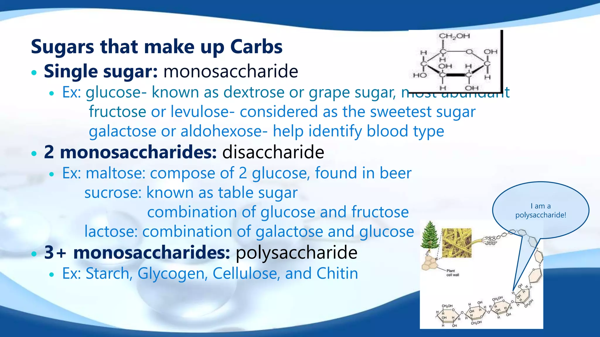 BIOMOLECULESedited.pptx