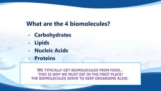 BIOMOLECULESedited.pptx