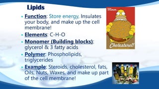 Biomolecules physical science. Macromolecules | PPTX | Chemistry | Science