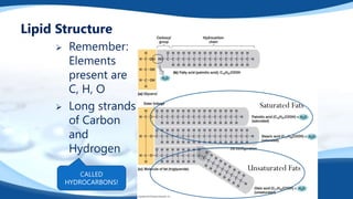 Biomolecules physical science. Macromolecules | PPTX