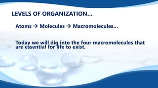 Biomolecules physical science. Macromolecules | PPTX