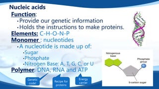 Biomolecules physical science. Macromolecules | PPTX