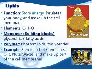 BIOMOLECULES proteins carbohydrates and fats edited.pptx
