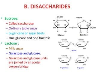 BIO MOLECULES STRUCTURE,TYPES AND FUNCTIONS | PPTX