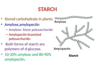 BIO MOLECULES STRUCTURE,TYPES AND FUNCTIONS | PPTX