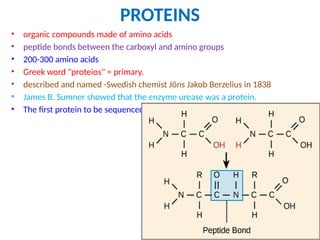 BIO MOLECULES STRUCTURE,TYPES AND FUNCTIONS | PPTX