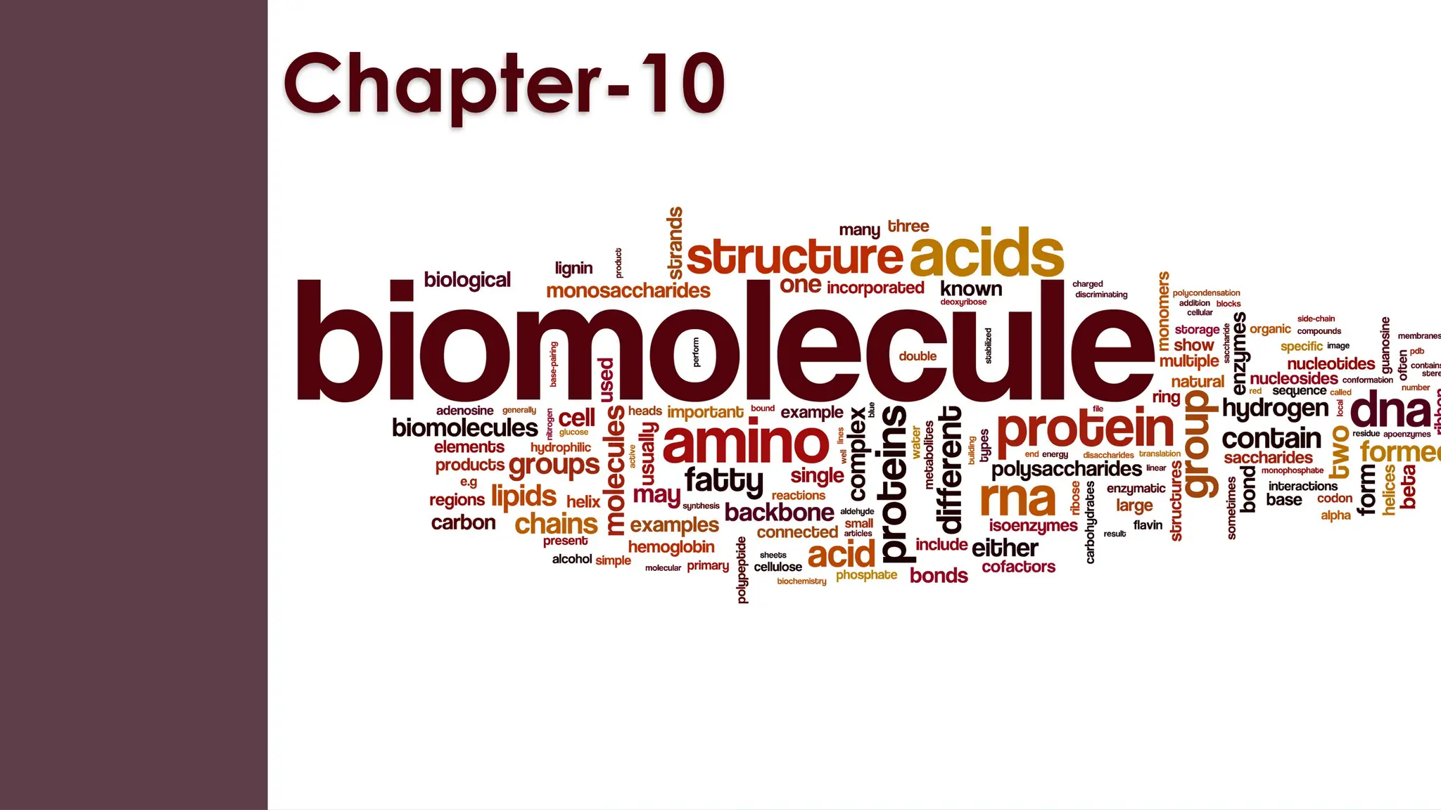 Biomolecules_class12ncertwithrizwaninal.pptx