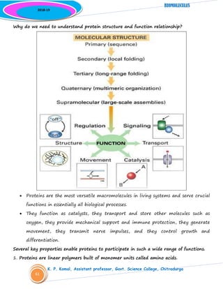 Biomolecules for B.Sc