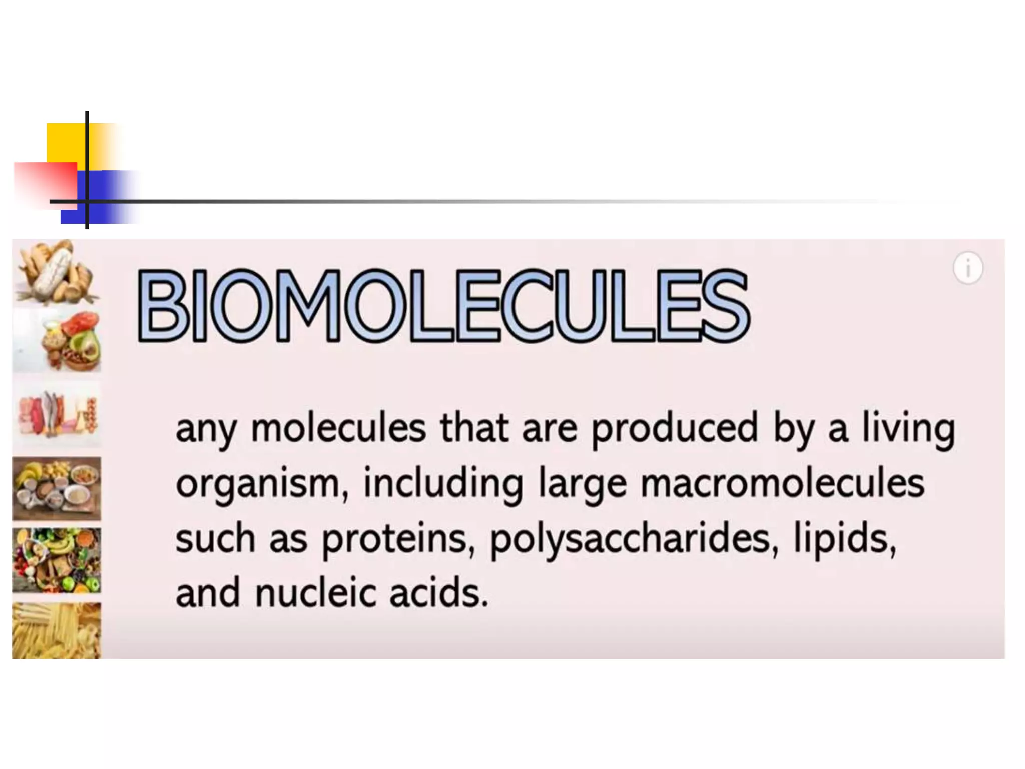 BIOMOLECULES G10 NOW.ppt