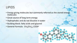 biomolecules lesson.pptx