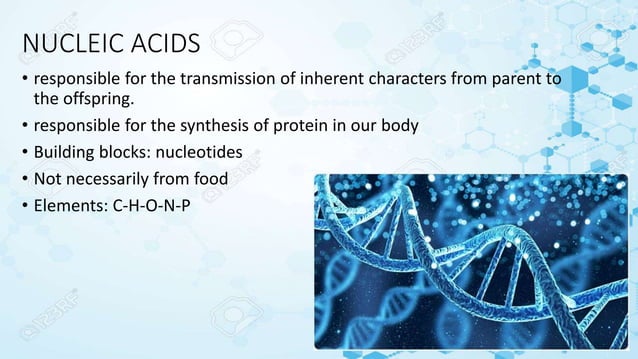 biomolecules lesson.pptx