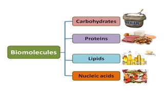 biomolecules lesson.pptx