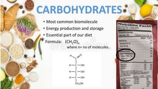 biomolecules lesson.pptx