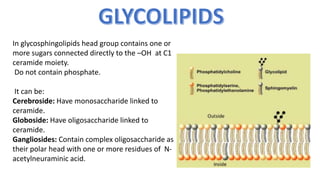 Biomolecules lipids | PPT