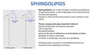 Biomolecules lipids | PPT