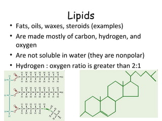 Lipids Macromolecule