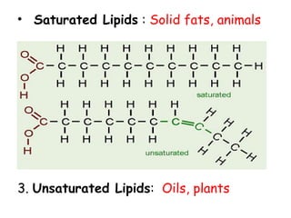 Lipids Macromolecule