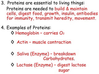 Biomolecules macromolecules | PPT