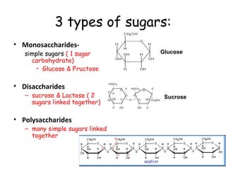 Biomolecules macromolecules | PPT