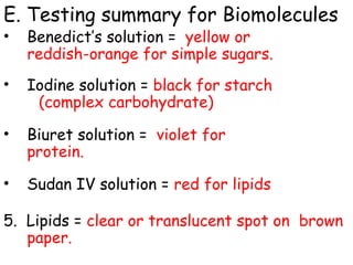 Biomolecules macromolecules | PPT