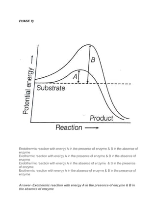 BIOMOLECULES MCQ.docx