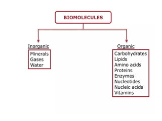 BIOMOLECULES COMPOSED OF CARBOHYDRATES, PROTEINS, FATS AND LIPIDS AND ...