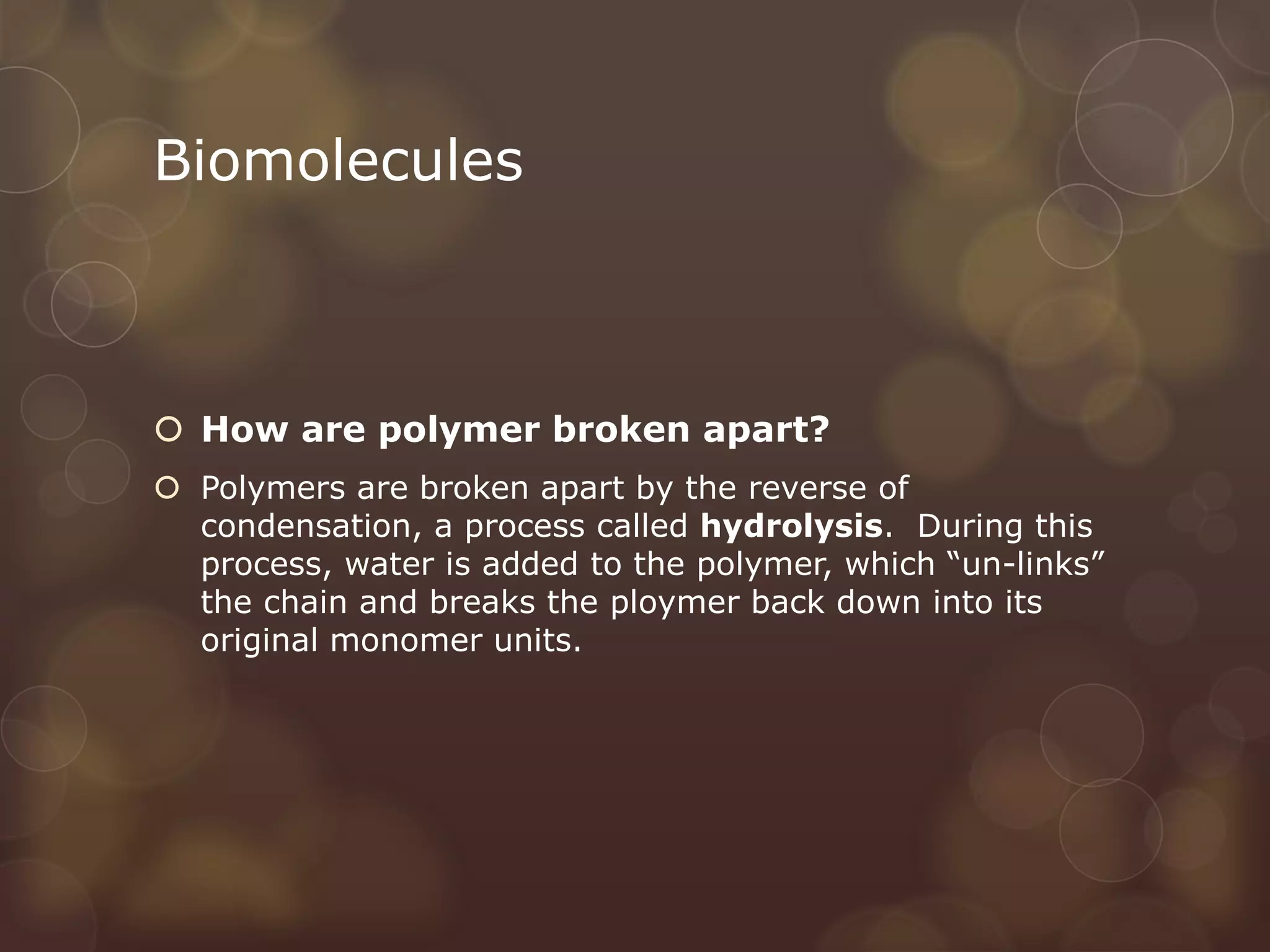 Biomolecules power point 2013.pptx