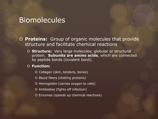 Biomolecules power point 2013.pptx