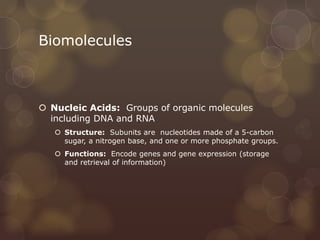 Biomolecules power point 2013.pptx