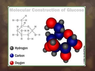 Biomolecules power point 2013.pptx