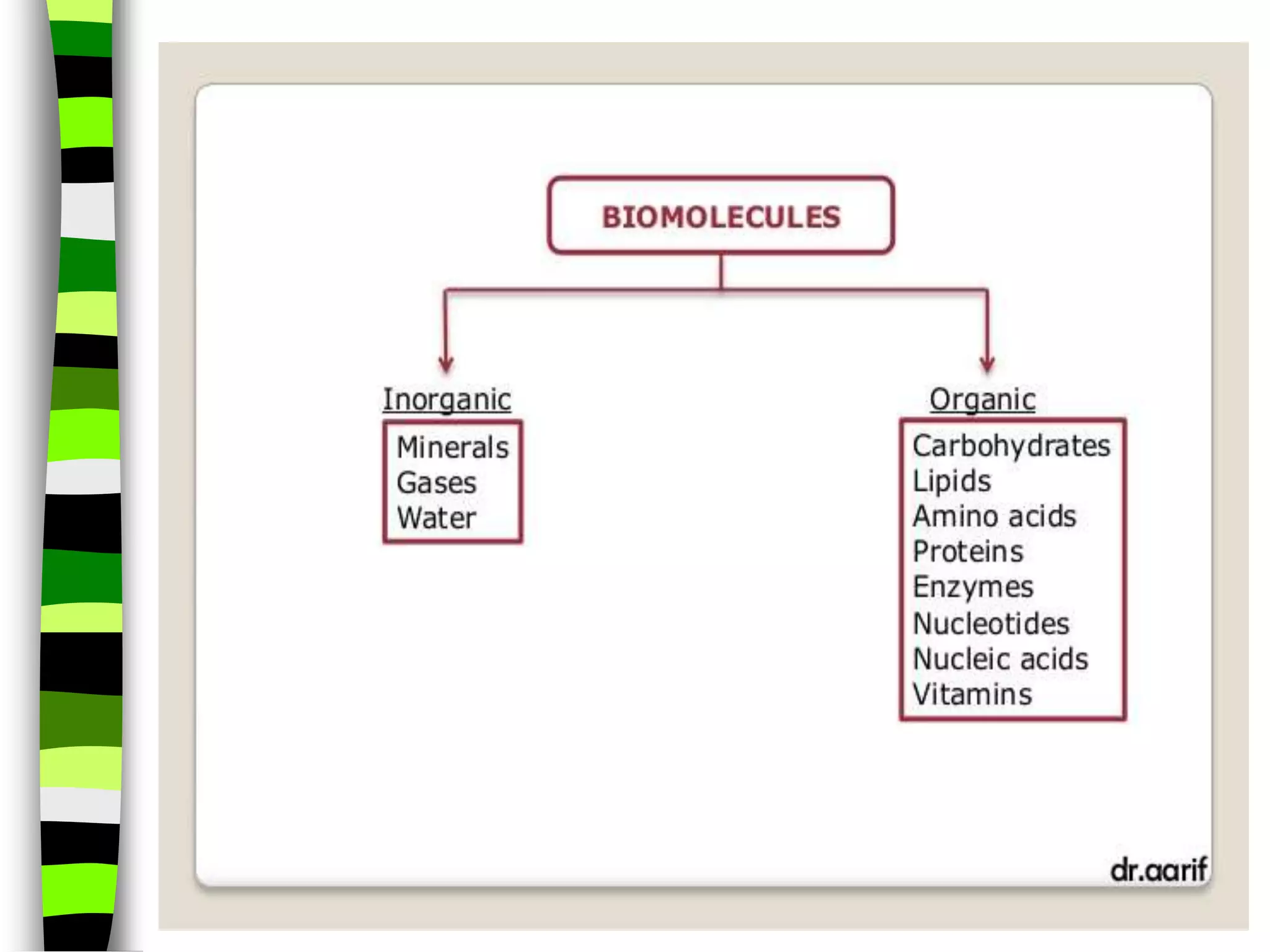Biomolecules ppt.pptx