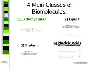 Biomolecules ppt.pptx