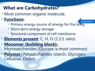 Biomolecules PPT for high school students | PPTX