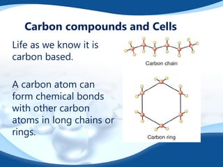 Biomolecules PPT for high school students | PPTX