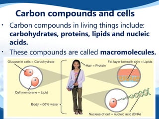 Biomolecules PPT for high school students | PPTX