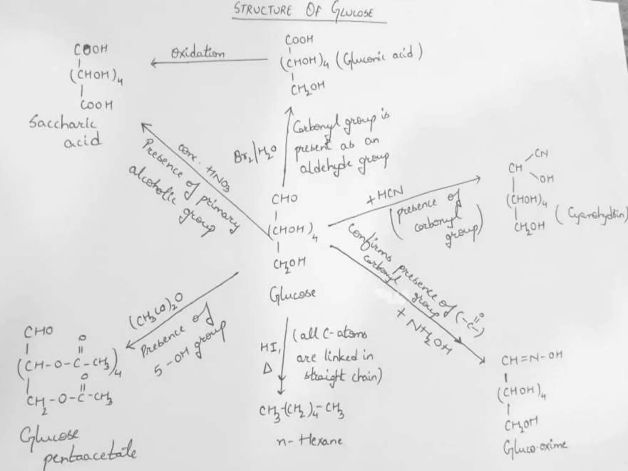 BIOMOLECULES ppt- XII.pptx notes class 12 | PPTX