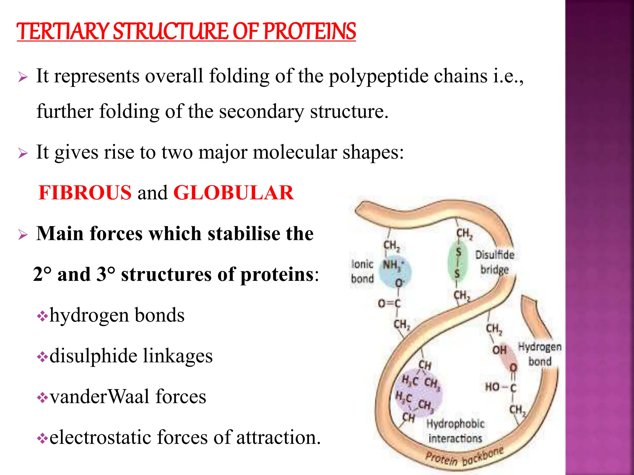BIOMOLECULES ppt- XII.pptx notes class 12 | PPTX