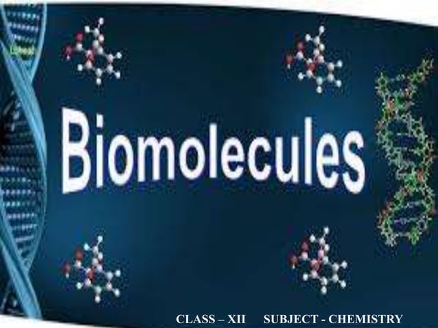 BIOMOLECULES ppt- XII.pptx notes class 12 | PPTX