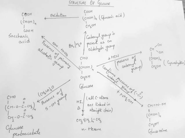 BIOMOLECULES ppt- XII.pptx notes class 12 | PPTX