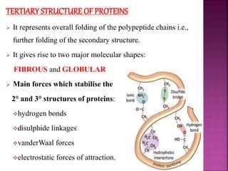 BIOMOLECULES ppt- XII.pptx notes class 12 | PPTX