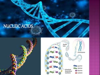 BIOMOLECULES ppt- XII.pptx notes class 12 | PPTX