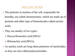 BIOMOLECULES ppt- XII.pptx notes class 12 | PPTX