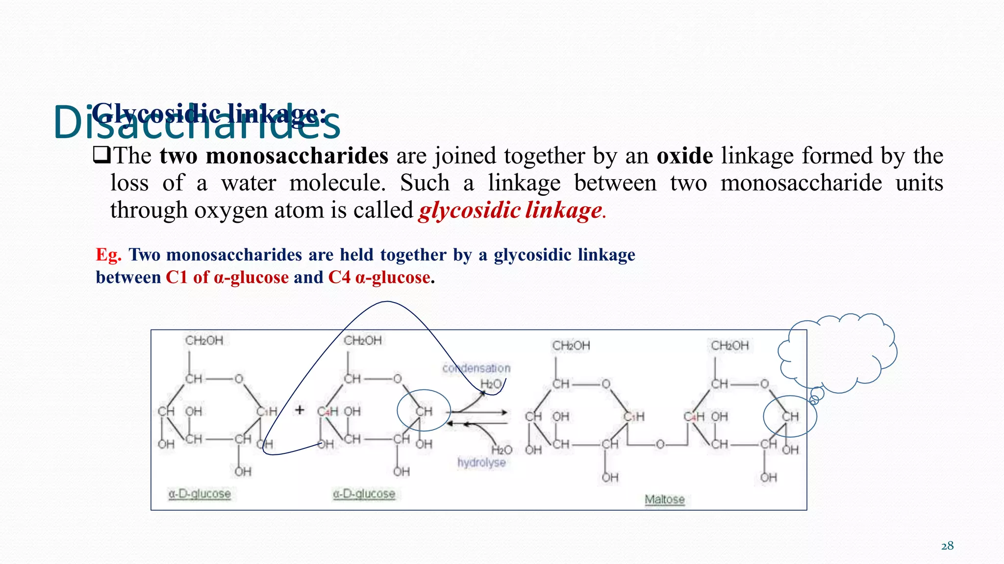 biomolecules ppt by bsk.pptx