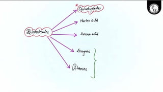 Biomolecules Printable Notes for jee.pdf