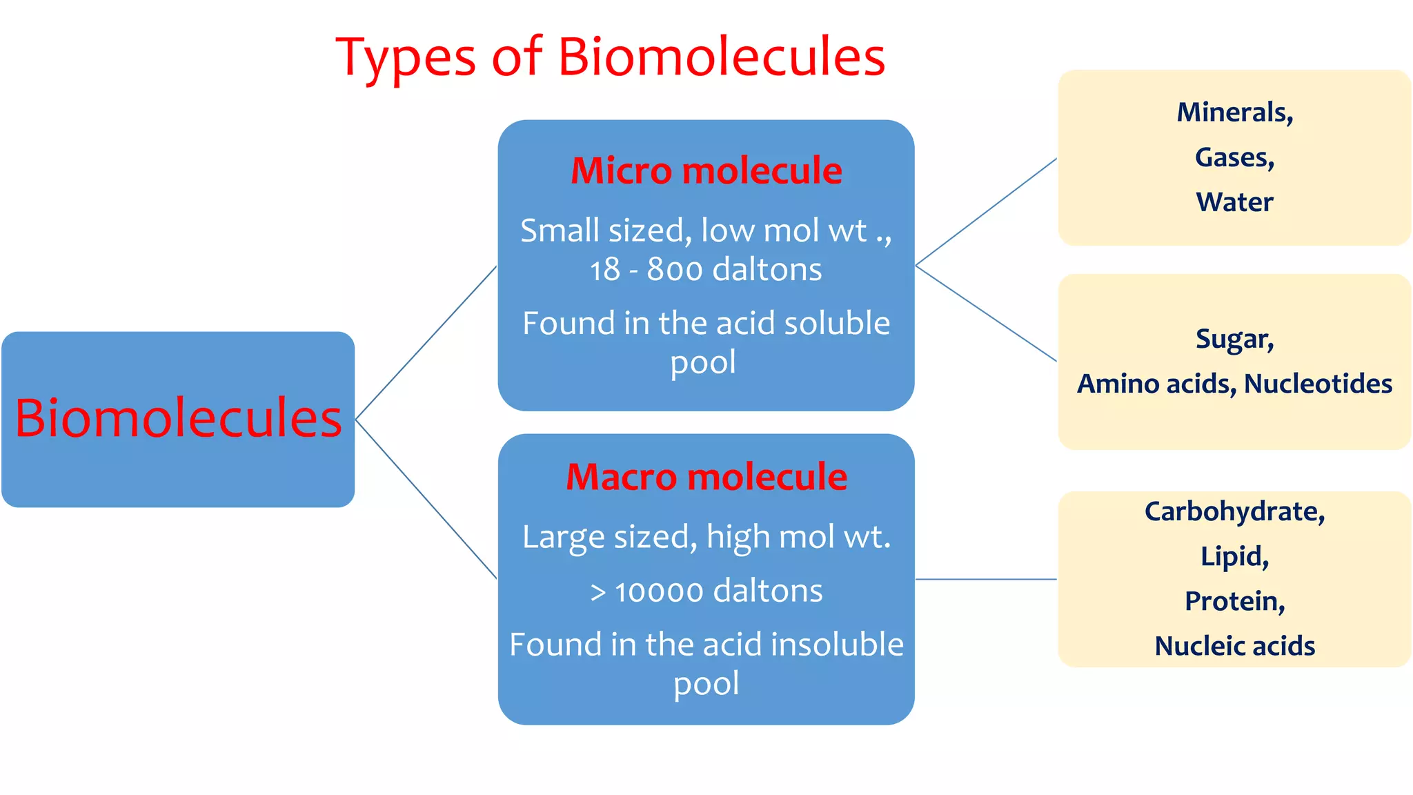 Biomolecules – Production and Industrial applications | PPTX