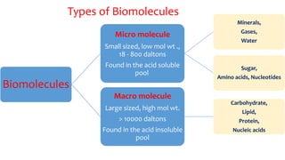 Biomolecules – Production and Industrial applications | PPTX