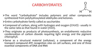 Biomolecules – Production and Industrial applications | PPTX